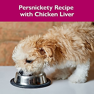 Bil-Jac Picky No More All-Breed Puppy Chicken Liver Recipe Dry Dog Food 4 Pounds (2-Pack)