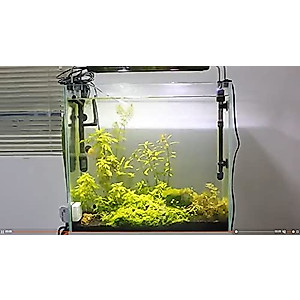 EVERGROW® 300W Aquarium Fish Tank Anti-Explosion Submersible Heater JRB-230