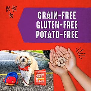 Stella & Chewy's Freeze-Dried Raw Carnivore Crunch Cage-Free Turkey Recipe Dog Treats – 3.25 oz. Bag