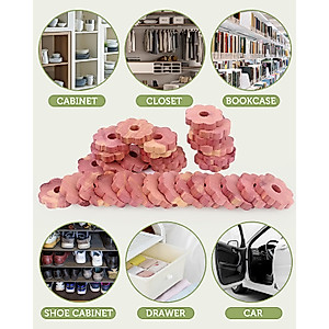 Aryiten Cedar Blocks for Clothes Storage, 32 Pack Cedar Rings, Aromatic Scent Cedar Planks for Clothes Storage Closets and Drawers Freshener Protection & Control