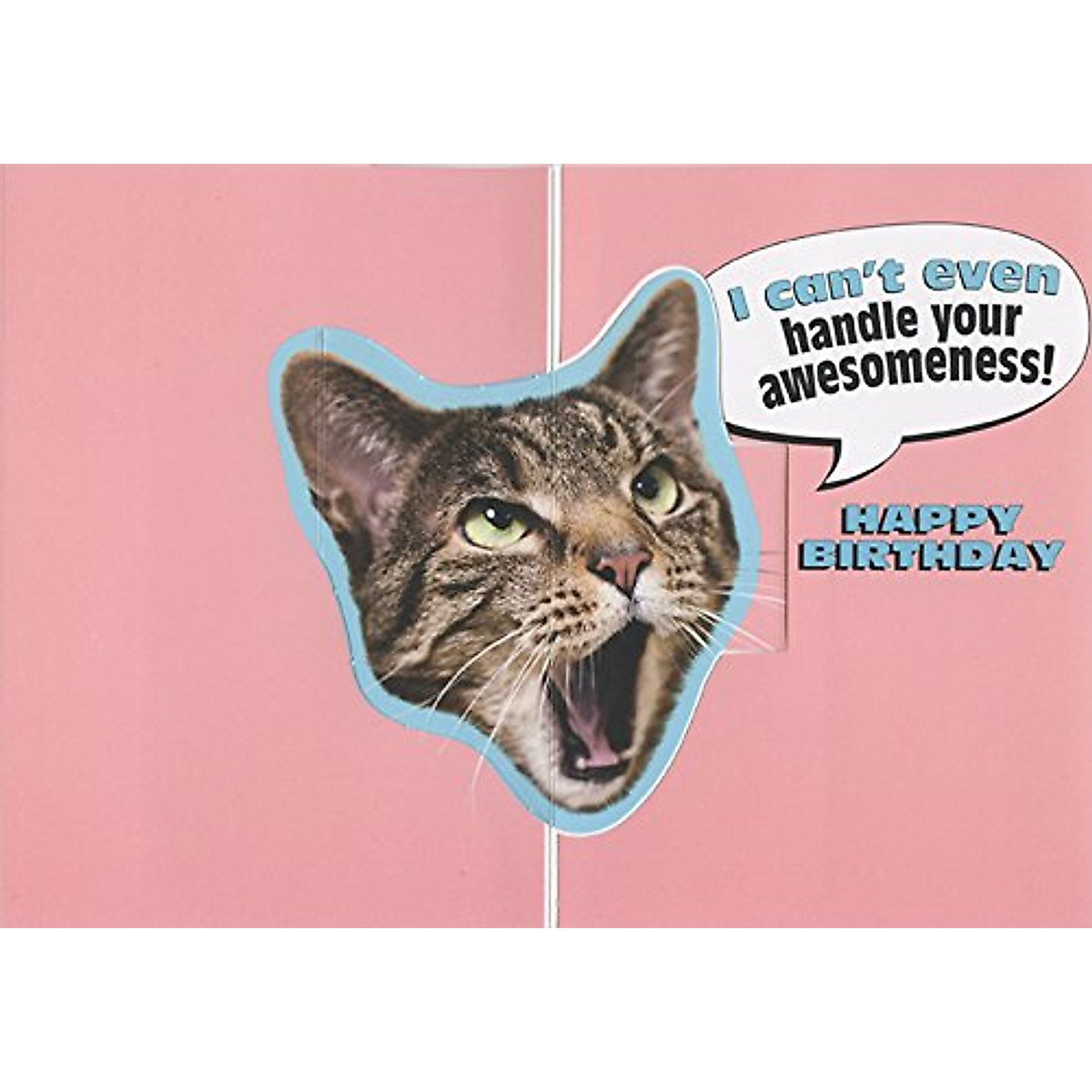 OMG Cat Pop Up Avanti Stand Out Funny Birthday Card