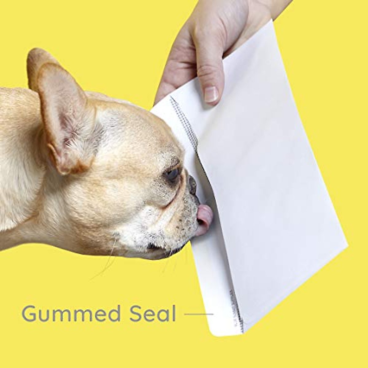 500 #8 Gummed Double Window Security Check Envelopes - Designed for QuickBooks Checks - Computer Printed Checks - Gummed Flap - 3 5/8 X 8 11/16
