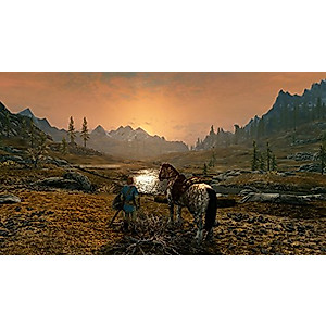 The Elder Scrolls V: Skyrim (Nintendo Switch)
