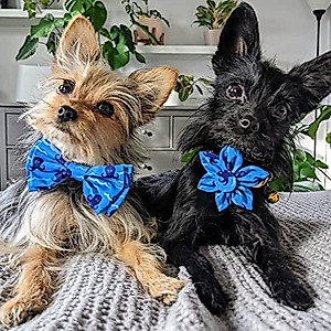 H&K Pet Pinwheel | Octopus Garden (Large) | Velcro Collar Accessory for Dogs/Cats | Fun Pet Pinwheel Collar Attachment | Cute, Comfortable Pet Accessory
