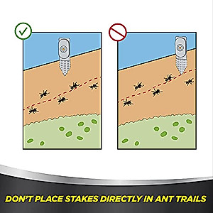 Amdro Kills Ants Ant Bait 0.16 oz.