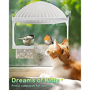 Ermete Durable Metal Bird Window Feeder with Seed Tray and Strong Suction Cups - Window Bird Watching Gift, White