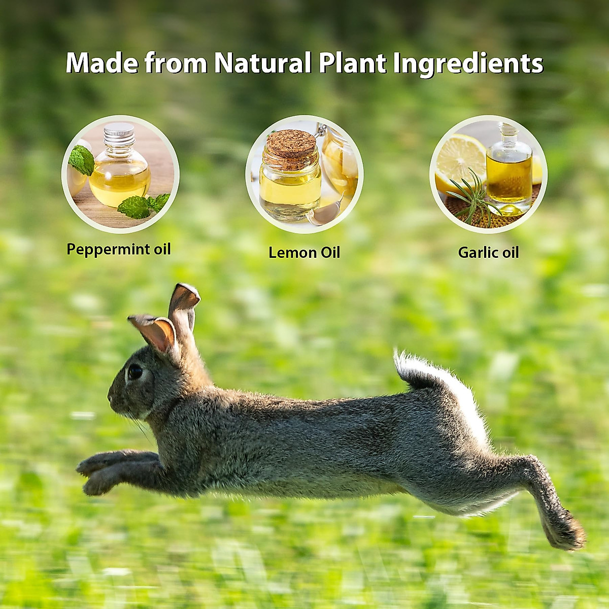 Homsor Rabbit Repellent Outdoor 10 Pack Peppermint Oil Deer Rabbit Away Repellent Balls Pet Safe Bunny Rabbit Deterrent for Garden Yard Lawn to Keep Rabbits Deers from Eating Plants