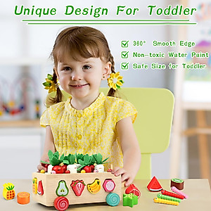 Lemofix Montessori Toys for 1 2 3 Year Old,Toddler Toys for Baby Boys Girls,Wooden Carrot Harvest Shape Sorting,Educational Toys for 1 2 3 Year Old Boys Girls Birthday Gifts