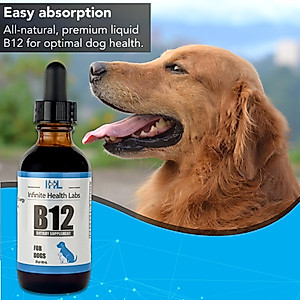 Liquid Vitamin B-12 for Dogs - Methylcobalamin Liquid Supplement for Pets - Dog Vitamins for Medium & Large Breed - Pet Vitamins and Supplements - Dog Multivitamins Liquid
