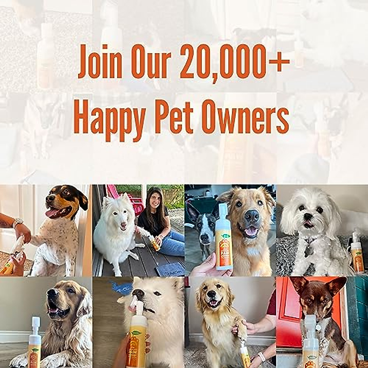 PetClan Citrus Naturally Formulated Dog Paw Cleaner with 'Squarub' Brush|USA Brand|No-Rinse Sulfate-Free Dry Shampoo For Dogs|Gift Box with Microfiber Absorbent Towel