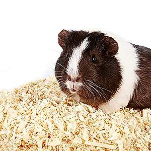 Petpost | Pine Bedding for Small Animals - 6 cu.ft. of Soft Wood Shavings for Rabbits, Guinea Pigs, & Hedgehog Habitats - Low Dust Cage Bedding for Pets - 2.3 cu.ft. Compressed Bag Expands to 6 cu.ft.