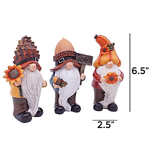 Etistta 3PCS Fall Harvest Gnome Thanksgiving Figurine Decor, 6.5 inch Polyresin Gnomes Sculptures with Pumpkin, Pine Cones, Acorn Hat for Home Tabletop Garden Holiday Decorations