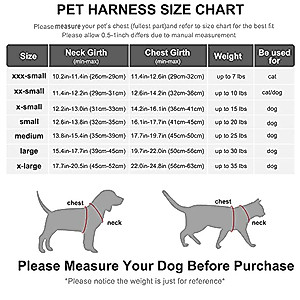 Fida Cat Harness and Leash Set for Walking Kitten and Puppy, Escape Proof Kitten Harness with Breathable Lightweight Soft Mesh, Adjustable Reflective Step-in Design for Kitten and Puppy.(XXXS, Pink)