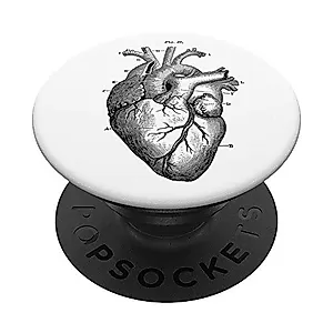 Vintage Heart Anatomical Drawing Cardiology Doctor Nurse