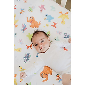 Premium Knit Baby Crib Sheets for Boys and Girls by Copper Pearl: Breathable and Soft, Fitted Crib Sheets for Standard Baby Mattresses, Crib Sheet for Baby Registry or Shower Gift, Sesame Friends