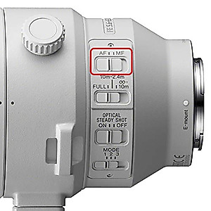 Sony FE 200-600mm F5.6-6.3 G OSS Super Telephoto Zoom Lens (SEL200600G)