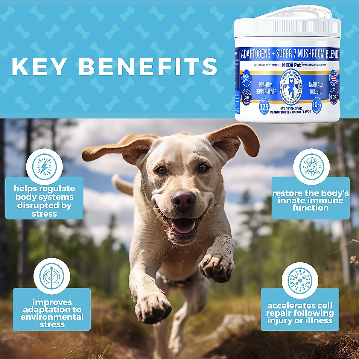 MEDii Pet Mushrooms for Dogs. 7 Types of Dog Mushrooms: Immunity, GI Health, Joints. Metabolism Booster. Can Improve Dog Health Holisitically - 125 Mini Hearts. Natural nutrients for All Dogs.
