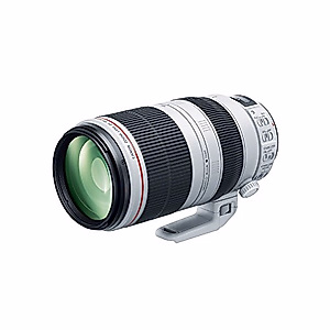 Canon EF 100-400mm f/4.5-5.6L is II USM Lens, Lens Only