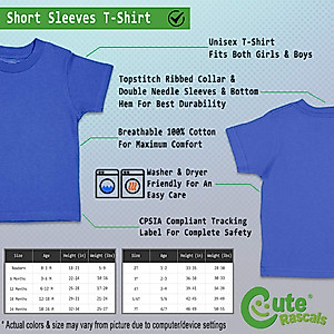 Custom Toddler T-Shirt How A Caterpillar Becomes Butterfly Hungry Cotton Boy & Girl Clothes Funny Graphic Tee Royal Blue Design Only 5 6T