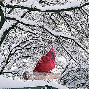 Claratut Mini Red Cardinal Bird Ornament On A Tree for Outdoor Indoor Use,Tree Statue Figurines Garden Decor 4.7L X4H