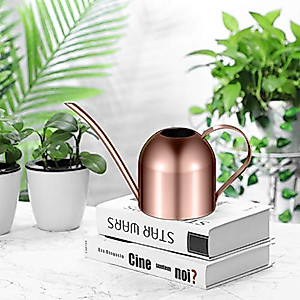 YARDWE 1000ml Stainless Steel Watering Can Plant Watering Can with Long Spout Small Size for Home Garden Office Bonsai Indoors and Outdoors