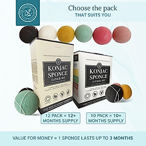 Bare Essentials Living - Konjac Sponges Set (12 Pack) with Activated Bamboo Charcoal Facial Sponge, Natural Sponge, Great for Facial Sponges, Bath Sponge, Beauty Sponge, and Exfoliating Body Sponge