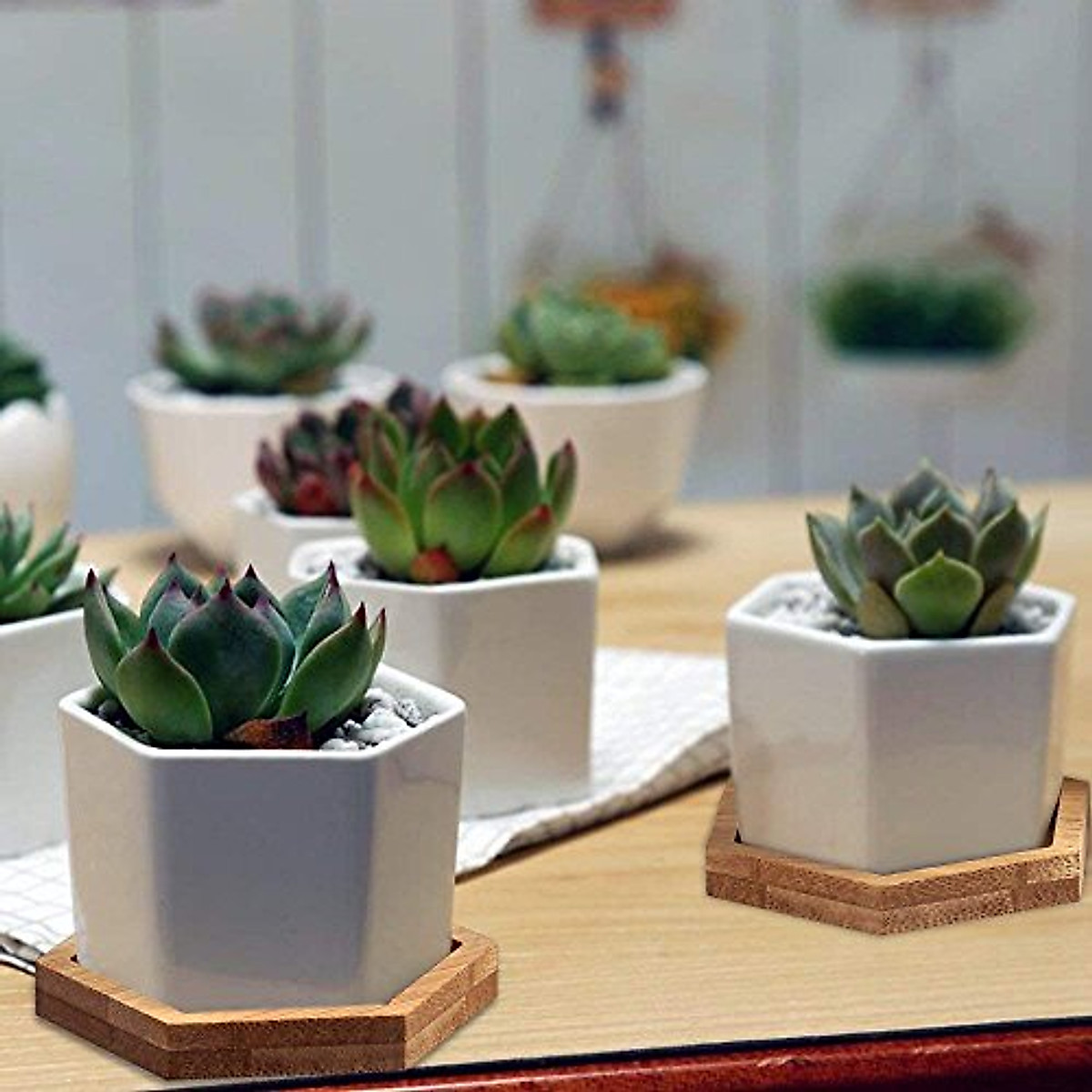 OAMCEG 6 Pack Succulent Plant Pots 2.75 inch Mini Succulent Planter, Set of 6 White Ceramic Succulent Cactus Planter Pots with Bamboo Tray (Plants NOT Included)