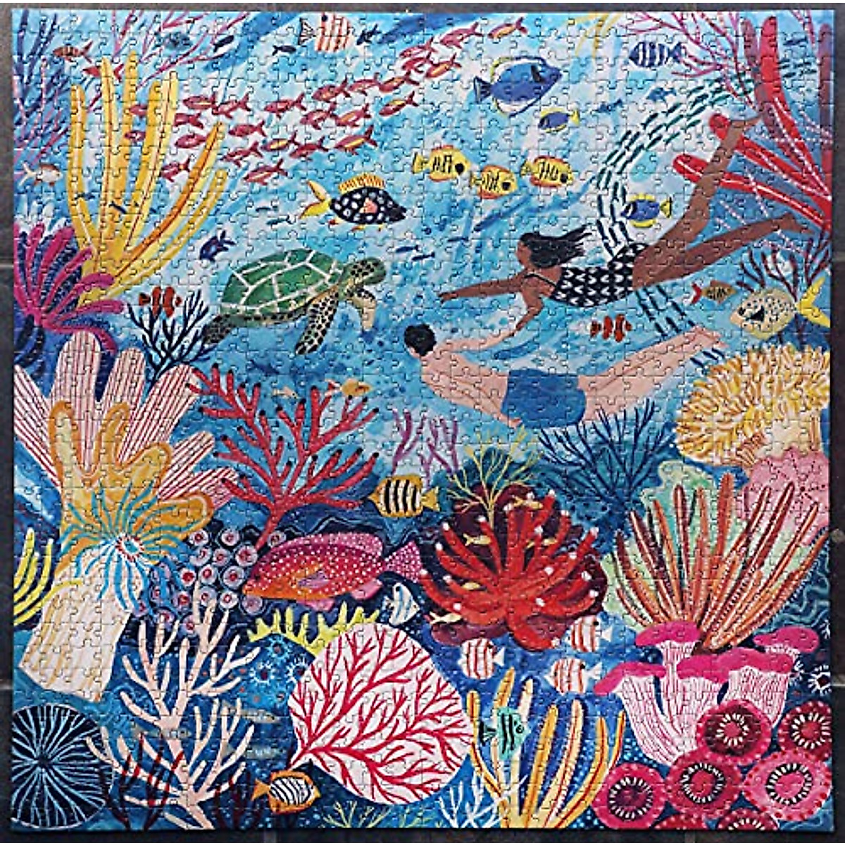 eeBoo: Piece and Love Coral Reef 1000 Piece Square Adult Jigsaw Puzzle, Puzzle for Adults and Families, Glossy, Sturdy Pieces and Minimal Puzzle Dust