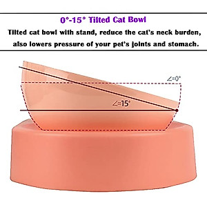 Raised Cat Bowls with Automatic Water Dispenser Bottle, Elevated 0°-15°Adjustable Tilted Pet Food Water Feeder Bowls Stress-Free Suit for Cats Dogs
