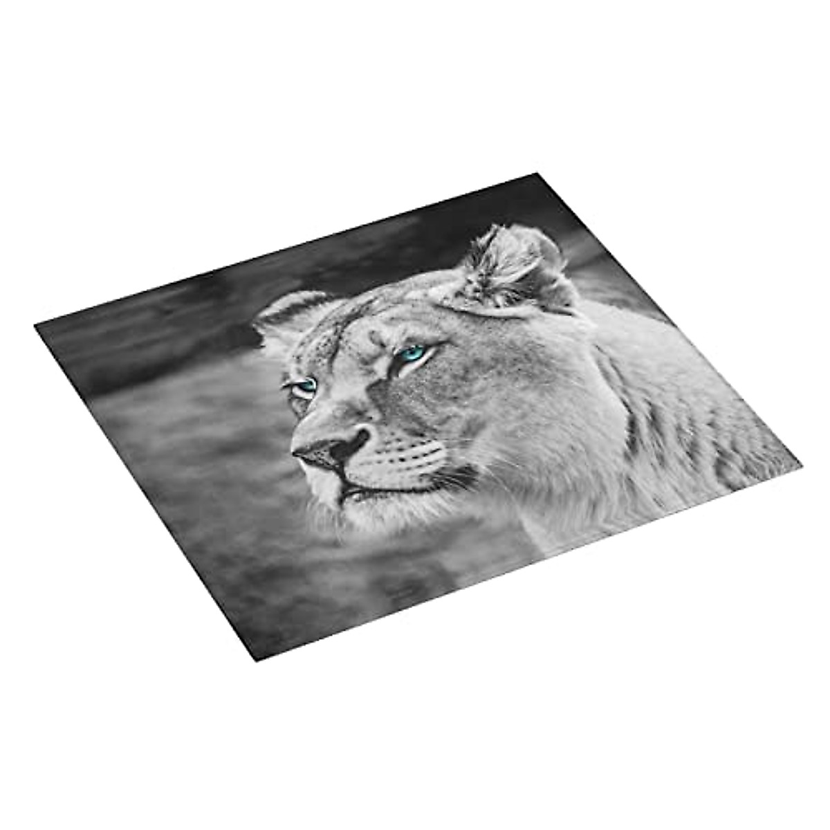 Lioness with Blue Green Eyes Printed Drying Mat For Kitchen Ultra Absorbent Microfiber Dishes Drainer Mats Non-Slip Silicone Quick Dry Pad - 18 X 16inch