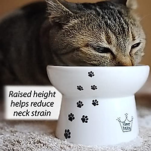 Necoichi Raised Stress Free Cat Food Bowl, Elevated, Backflow Prevention, Dishwasher and Microwave Safe, No.1 Seller in Japan! (Cat, Regular)