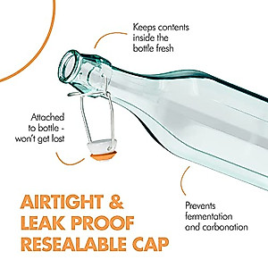 Amici Home Faceted Hermetic Glass Bottles | Eco-Friendly Swing Top Glass Bottles | Flip Top Glass Bottle with Airtight Cap | Glass Bottles with Caps - Dishwasher Free (Set of 2, 17 Oz)