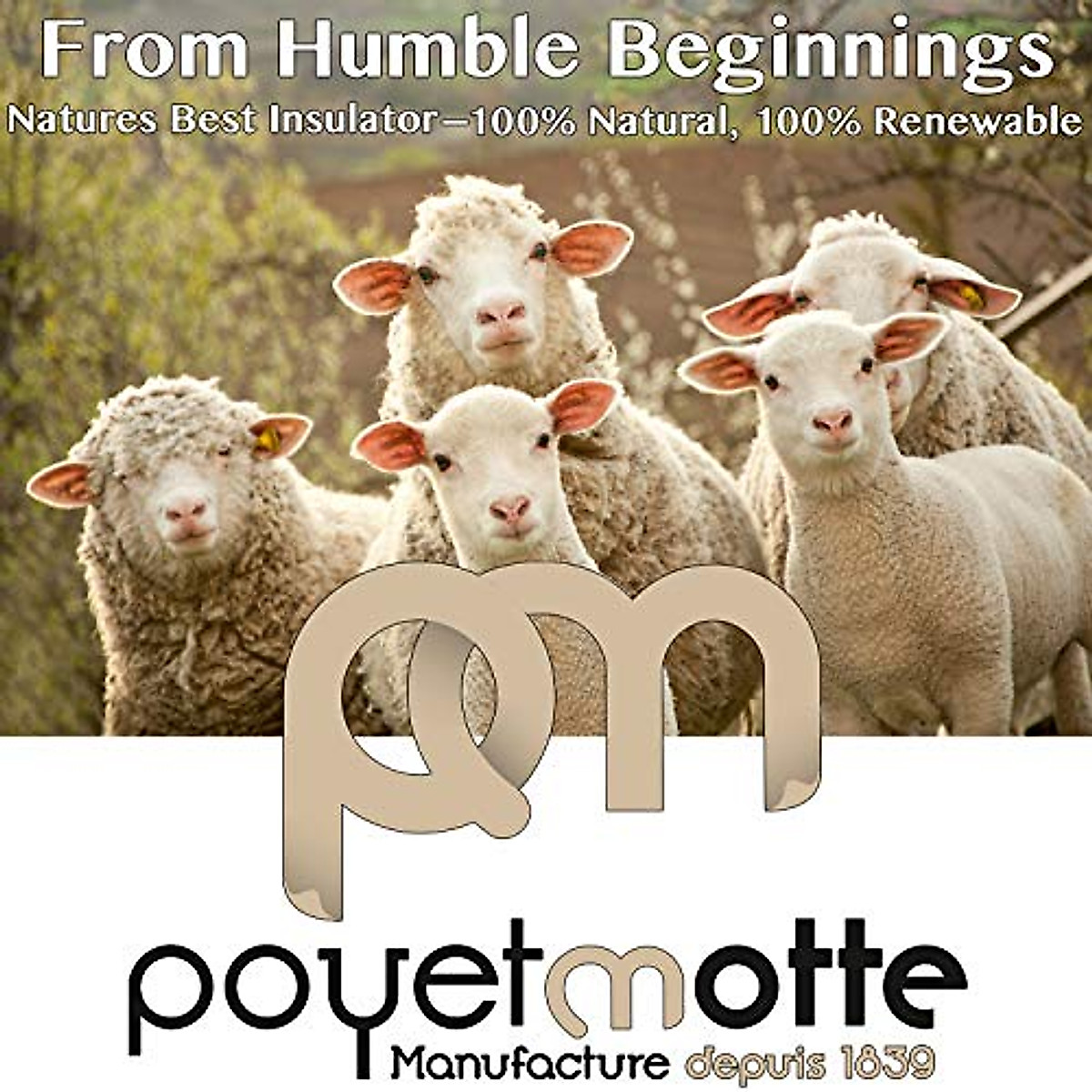 Poyet Motte Antibes 350GSM 100-Percent Wool Medium Weight Oversized Blanket, Machine Washable (Grey, King Size)