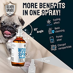 Wound Spray for Pets ● Colloidal Silver Wound and Skin Care for Dogs & Cats ● Helps with Rashes, Hot Spots, Itch, Scratching, Skin Irritation, Bites & Burns ● Safe if Licked (4 Oz, Wound Spray)