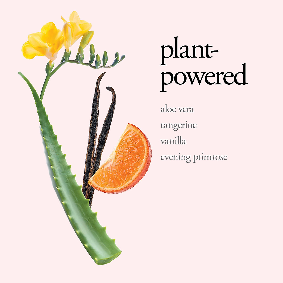 BOGAVIA Perfecting Beauty Mist for Body & Hair | Aromatic Repair & Refresh | Vanilla, Aloe Vera, Evening Primrose & Tangerine Extracts | Vegan, Gluten Free & No Chemical Preservatives