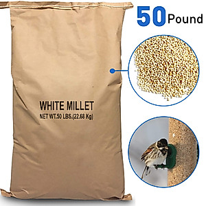 EasyGo Product White Millet Wild Bird Food – 50 lb