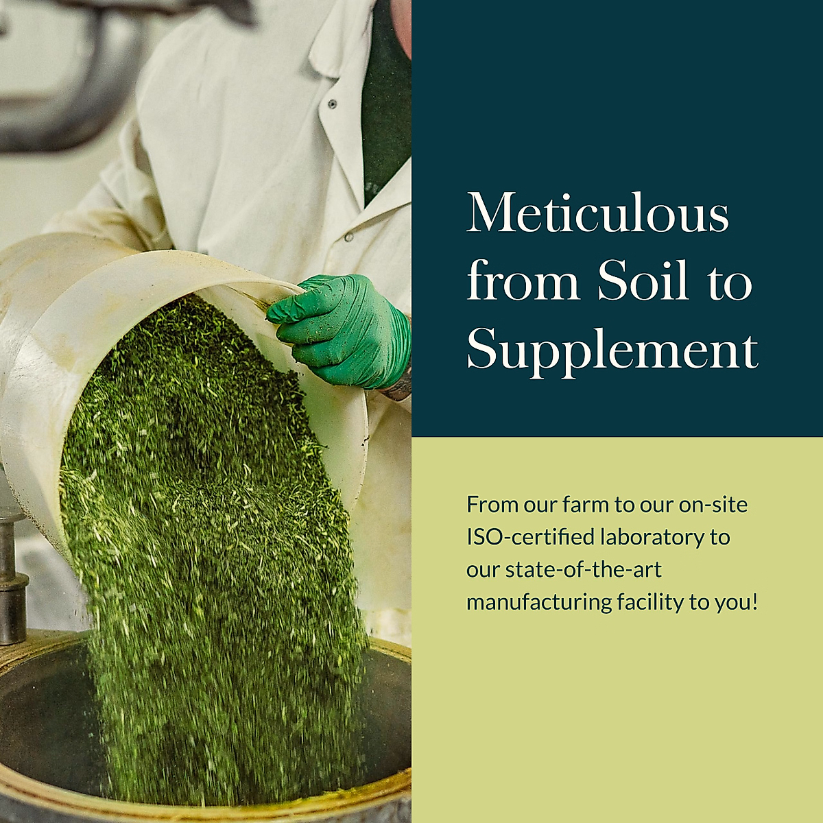 Gaia Herbs Milk Thistle - Liver Supplement & Cleanse Support for Maintaining Healthy Liver Function* - 60 Vegan Capsules (20-Day Supply)