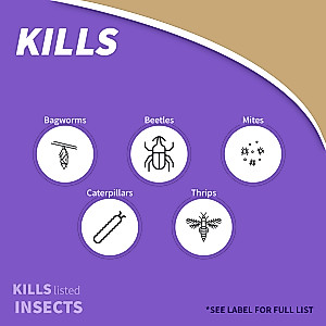 Bonide Captain Jack's Deadbug Brew, 16 oz Concentrate Outdoor Insecticide and Mite Killer for Organic Gardening