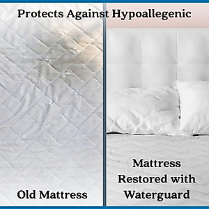 Waterguard Waterproof Cot Size Mattress Protector. Hypoallegenic Cot Pad Replacement for Rollaway Bed Mattresses, Daybeds, and Camping Cots. Made from 100% Cotton Top for Softness and Comfort.
