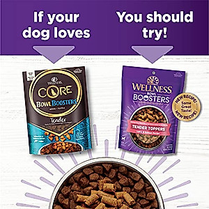 Wellness Tender Toppers (Previously CORE Bowl Boosters), Grain-Free Natural Dog Food Toppers or Mixers, Made with Real Meat (Lamb & Salmon, 8 oz Bag)
