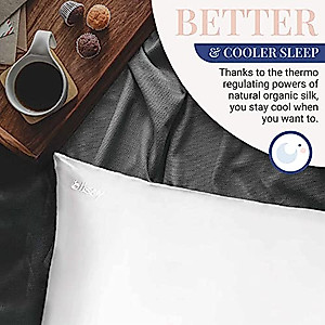 Blissy Silk Pillowcase - 100% Pure Mulberry Silk - 22 Momme 6A High-Grade Fibers - Satin Pillowcase for Hair & Skin - Regular, Queen & King Size Silk Pillow Case with Hidden Zipper - Moisture Wicking
