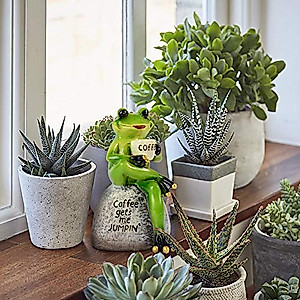 Frog Garden Statues Figurines, Frog Sitting on Stone Statue, Frogs Decor Garden Statue For Yard Ornaments and Fairy Garden Accessories, Indoor Outdoor Decoration Sculpture, Frog Gifts For Best Friend