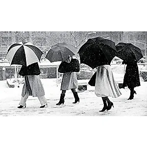 Bill Cunningham: On the Street: Five Decades of Iconic Photography