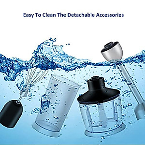 TRACONN Immersion Hand Blender Multi-Purpose 220V 4 IN 1 Blender Heavy Duty Copper Motor Stainless Steel Finish Includes Whisk Attachment, Chopper and Smoothies Cup (HB3302 EU Plug)