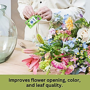Chrysal Clear Flower Food Packets – Single Packet – Flower Arrangements & Bouquets – Floral Supplies for Fresh Flowers – Fresh Flower Arrangements Supplies – Ideal Florist Supplies- 100 Ct-10g/1 liter