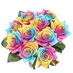 Mandy's 10pcs Rainbow Flowers Artificial Silk Rose Flowers for Mother's Day Home Decoration Bridal Wedding Bouquet and Parties