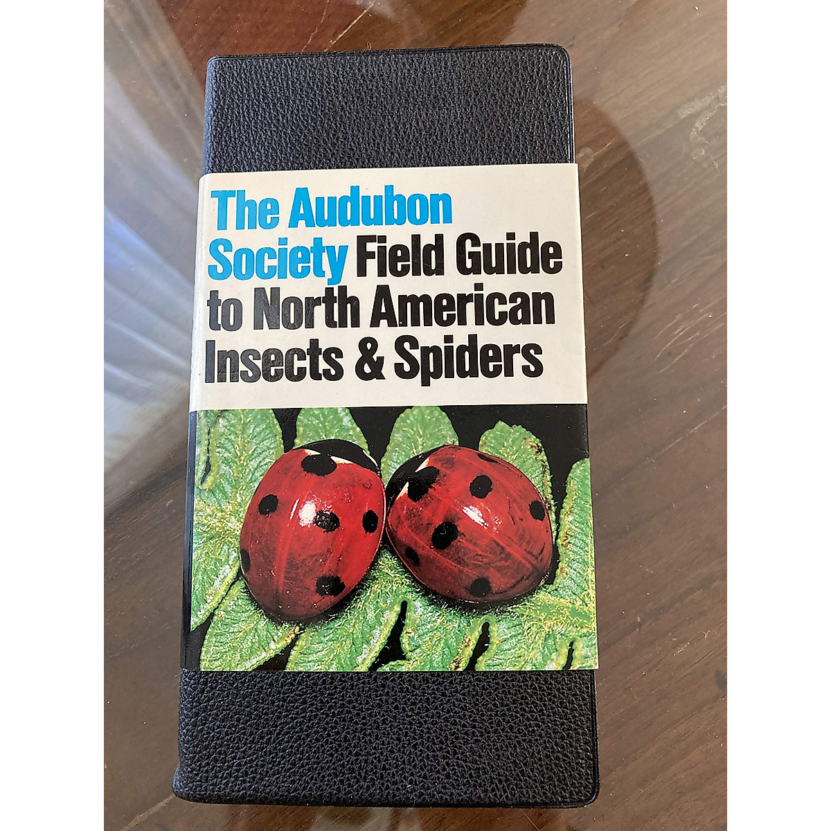 National Audubon Society Field Guide to North American Insects and Spiders