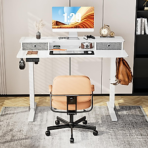 Height Adjustable Electric Standing Desk with Storage Shelf Double Drawer, 48 x 24 Inch Stand up Desk, Sit Stand Desk with Splice Board, Standing Table White Frame/White Desktop for Home Office