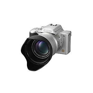 Panasonic Lumix DMC-FZ20S 5MP Digital Camera with 12x Image Stabilized Optical Zoom (Silver)