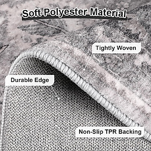 HEBE Washable Area Rug 3x5 Entry Rug Soft Distressed Area Rugs Non Slip Indoor Door Mat Boho Rug Oriental Accent Throw Rug Floor Carpet for Bedroom Kitchen Entryway Bathroom